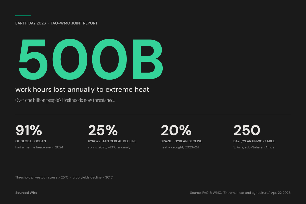 FAO and WMO: Extreme Heat Costs 500 Billion Work Hours a Year as Crop ...